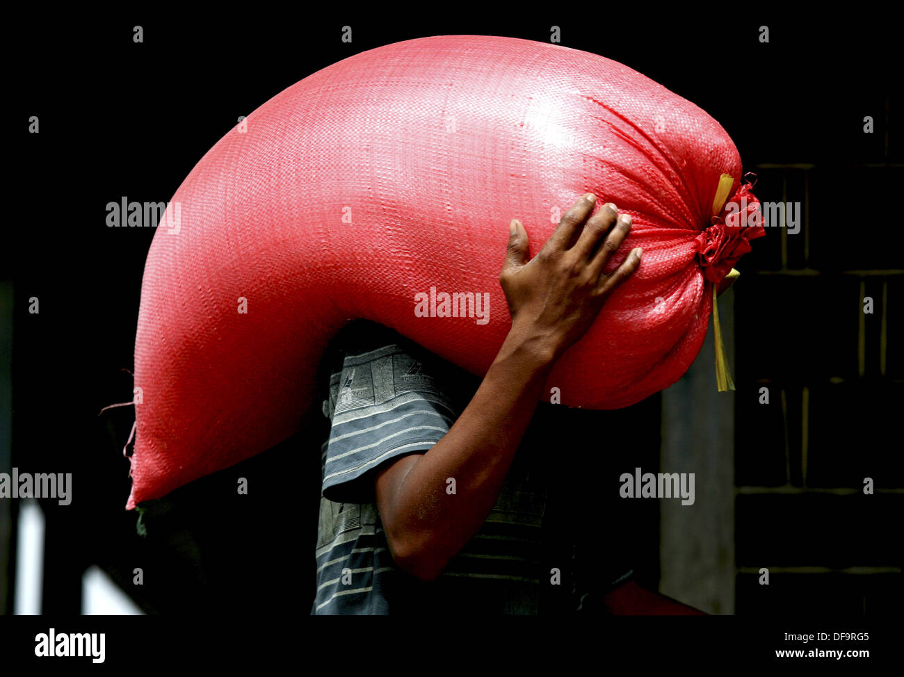 Man carrying load rice hi-res stock photography and images - Alamy