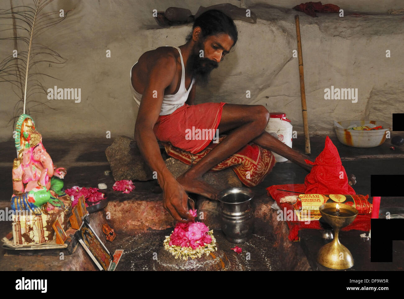 Shiva flower hi-res stock photography and images - Alamy