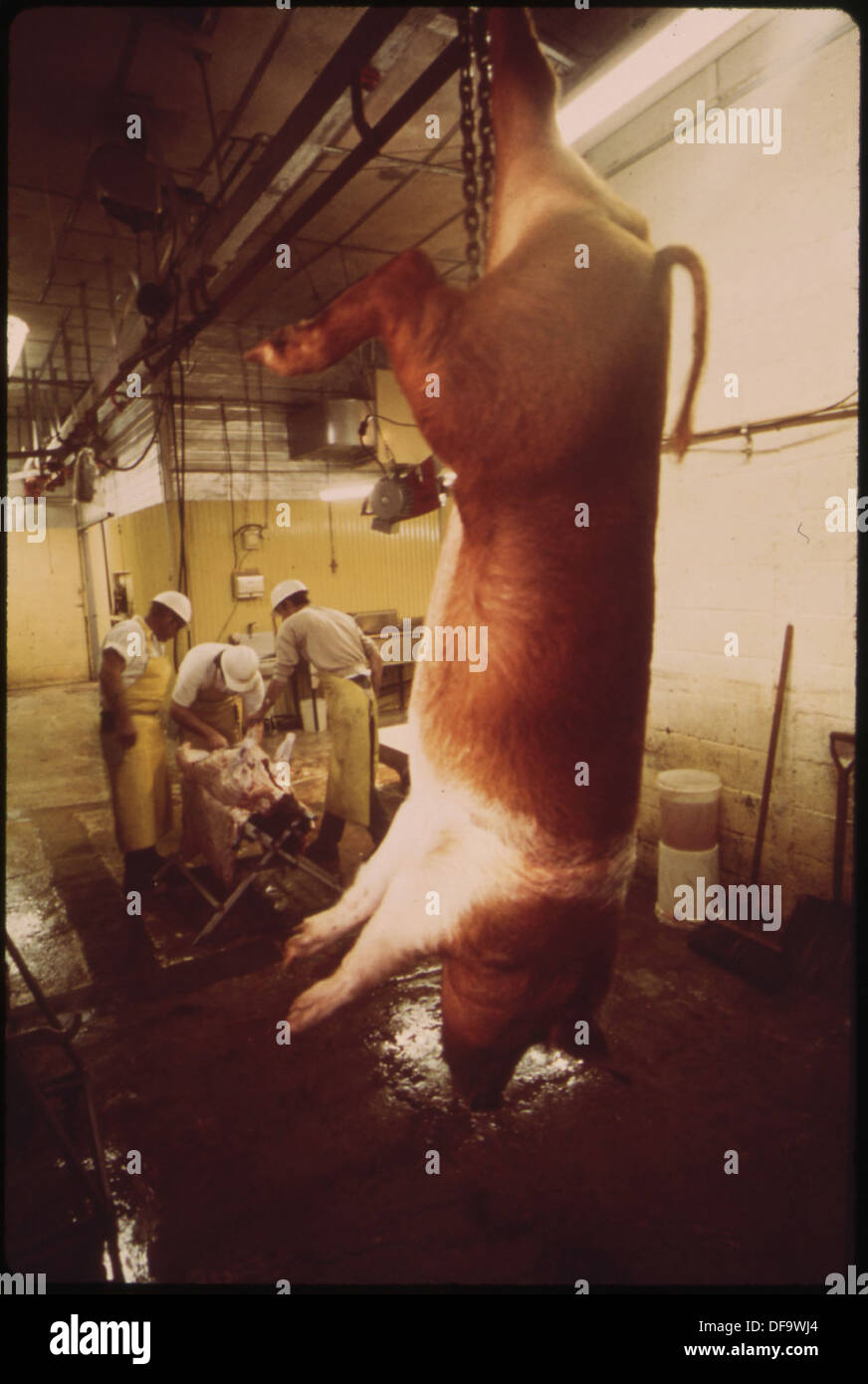 The Rifle Packing Plant is a family-run operation that processes ...