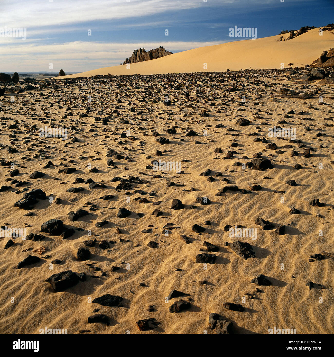 Tenere desert hi-res stock photography and images - Alamy