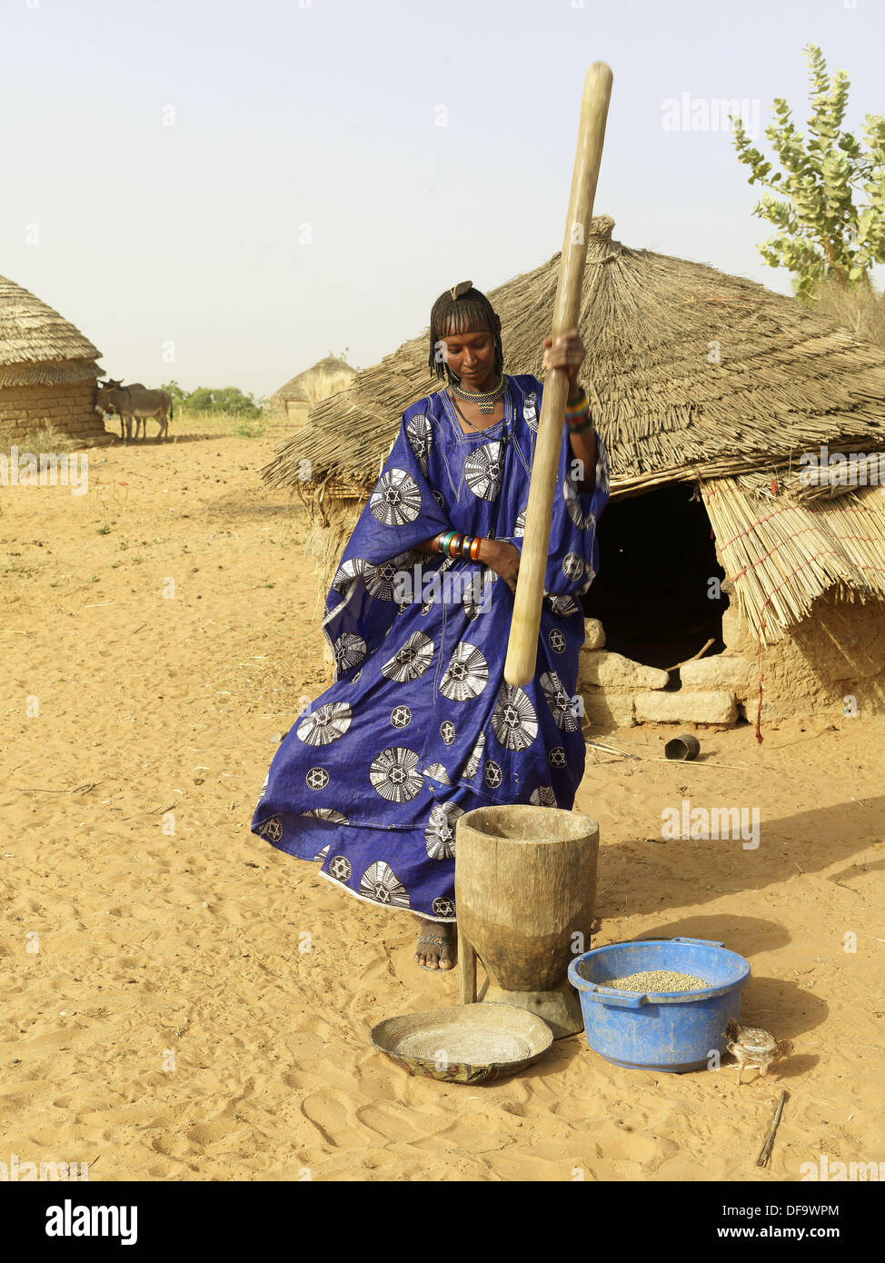 Songhai tribe hi-res stock photography and images - Alamy