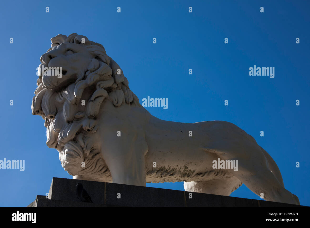 Lion bridge statue sculpture hi-res stock photography and images - Alamy