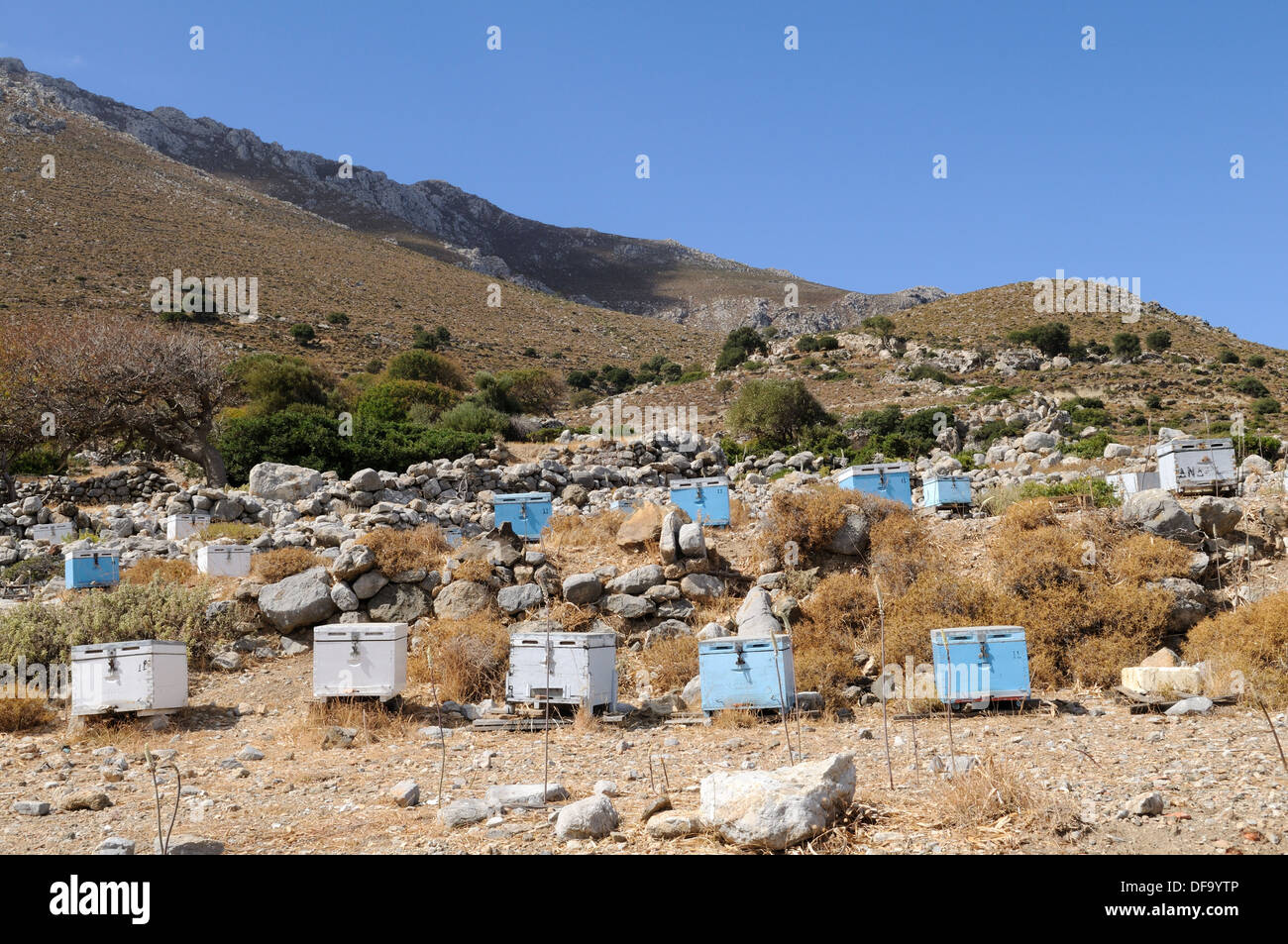 Greece Honey High Resolution Stock Photography and Images - Alamy