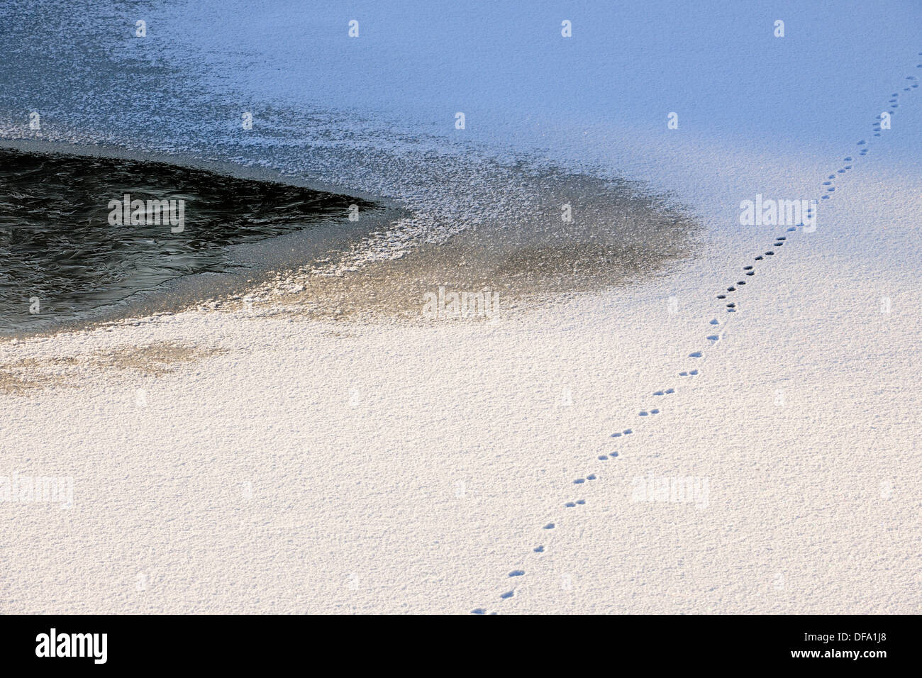 Digital ice hi-res stock photography and images - Alamy