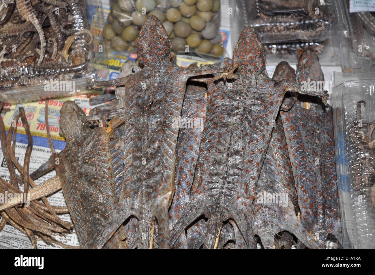 Dried gecko hi-res stock photography and images - Alamy