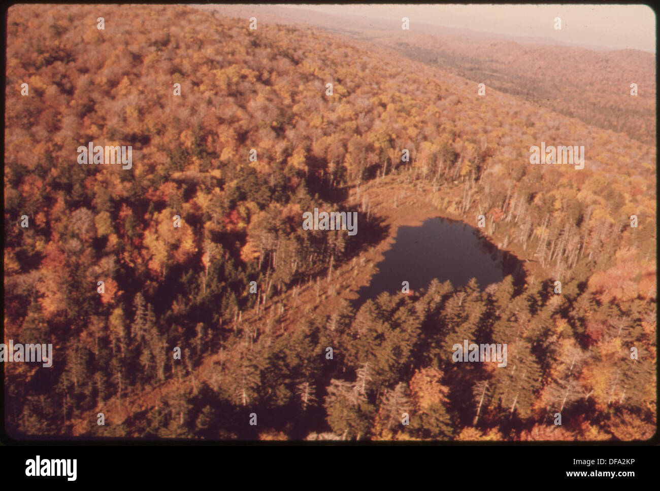 TYPICAL SMALL ADIRONDACK FOREST PRESERVE LAKE SHOWING AN INLET AND ...