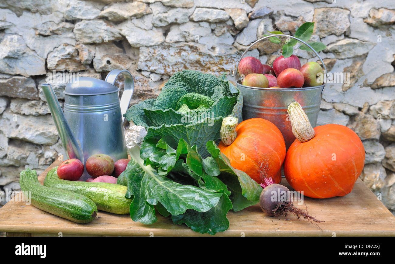 Seasonal vegetables hi-res stock photography and images - Alamy