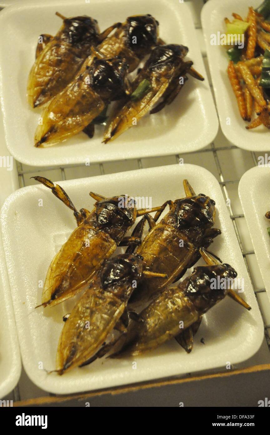 Fried cockroach hi-res stock photography and images - Alamy
