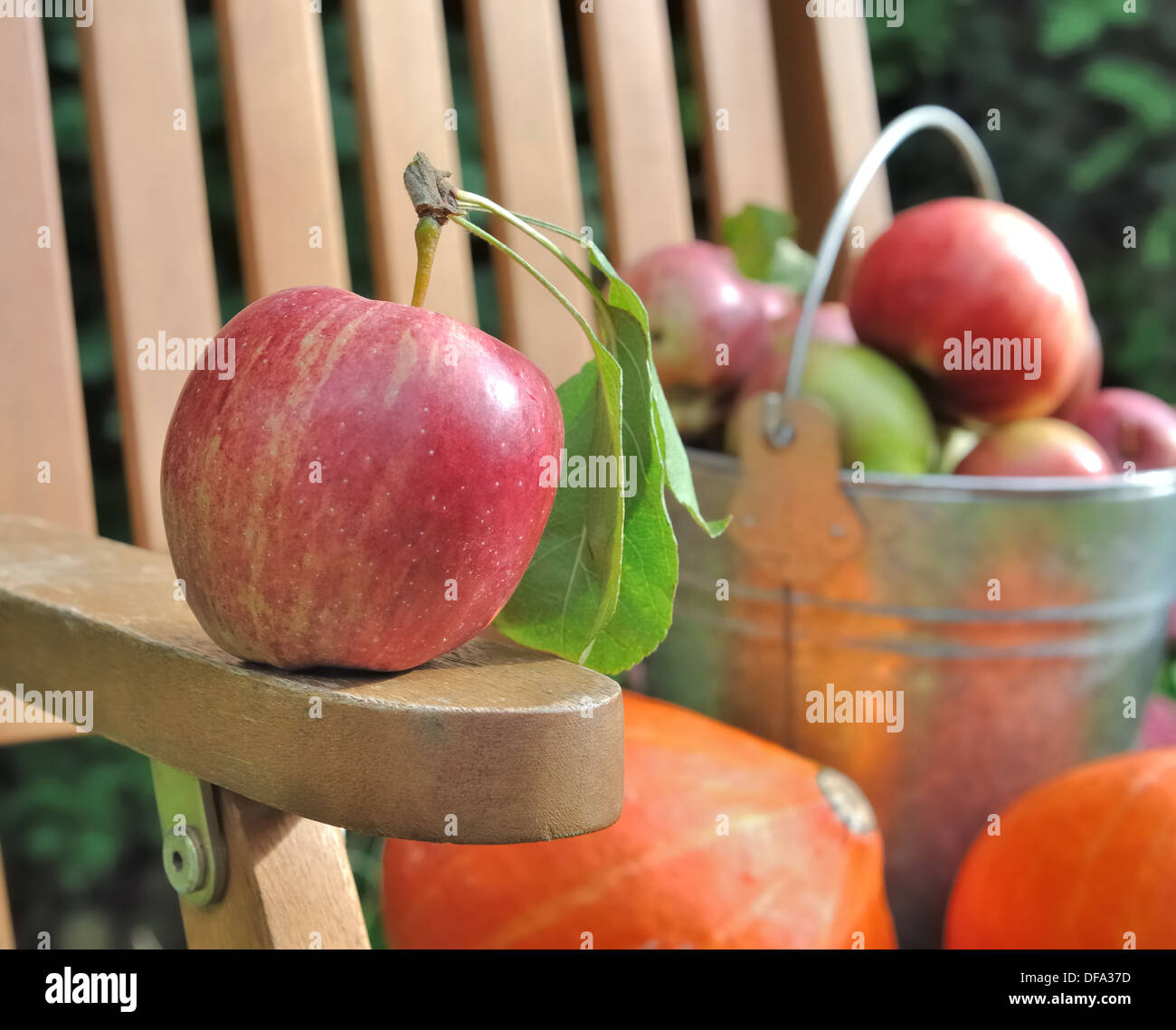 apple placed on the arm of a garden chair Stock Photo - Alamy