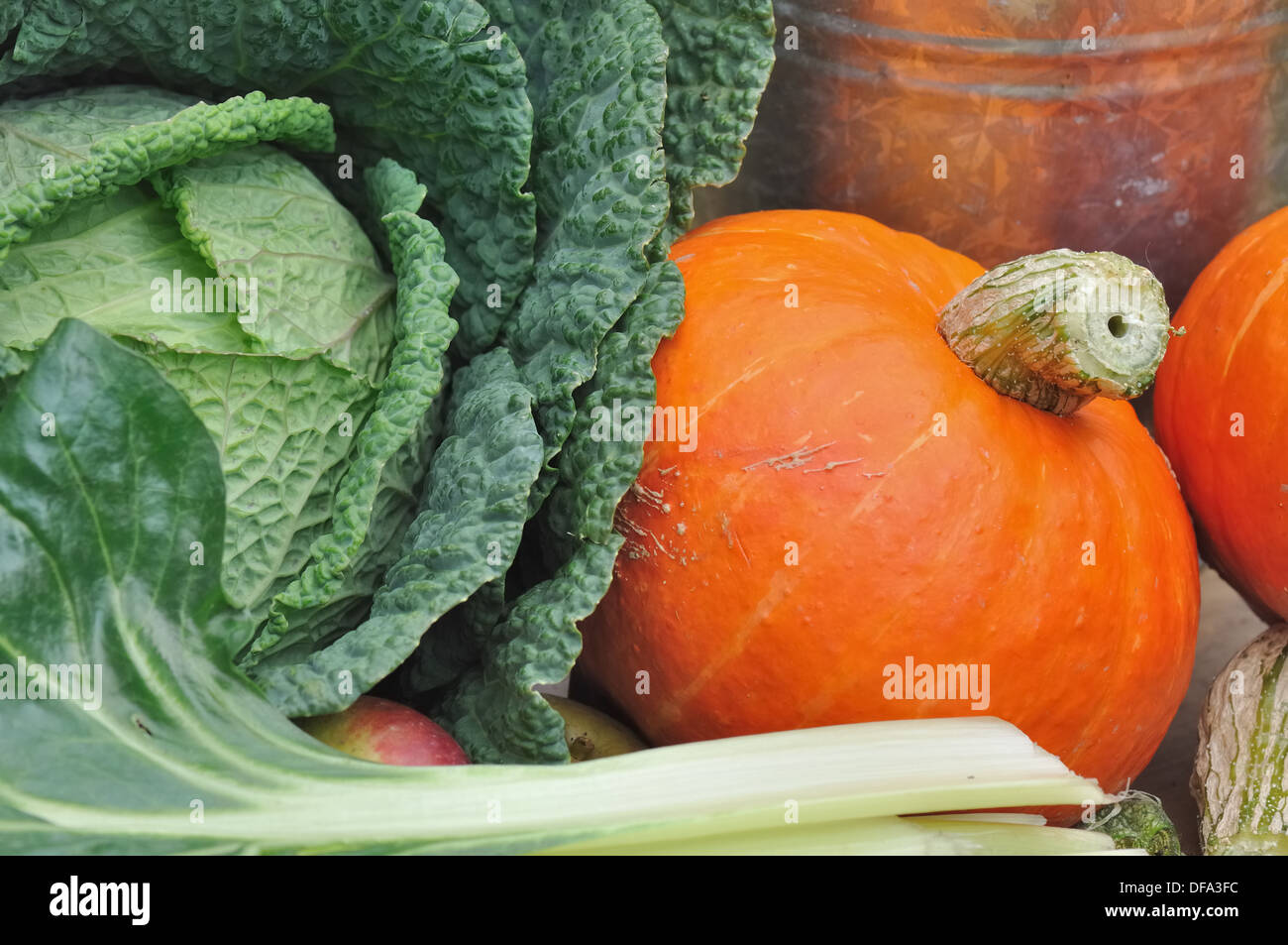closeup on orange squash and green foliage cabbage Stock Photo - Alamy
