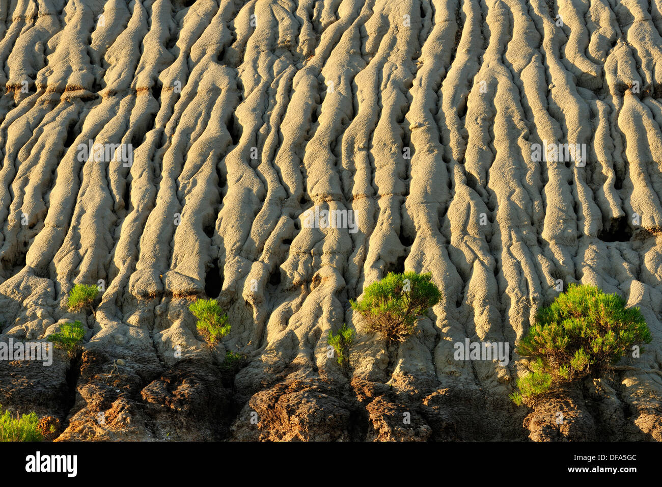 Rubber base hi-res stock photography and images - Alamy