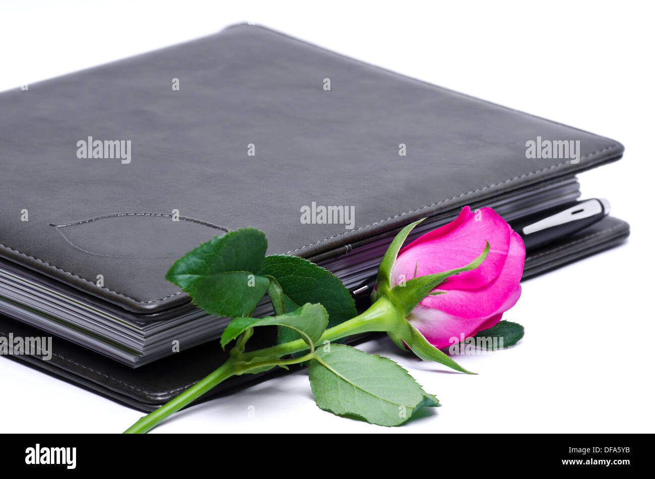 notebook and rose over white background Stock Photo - Alamy