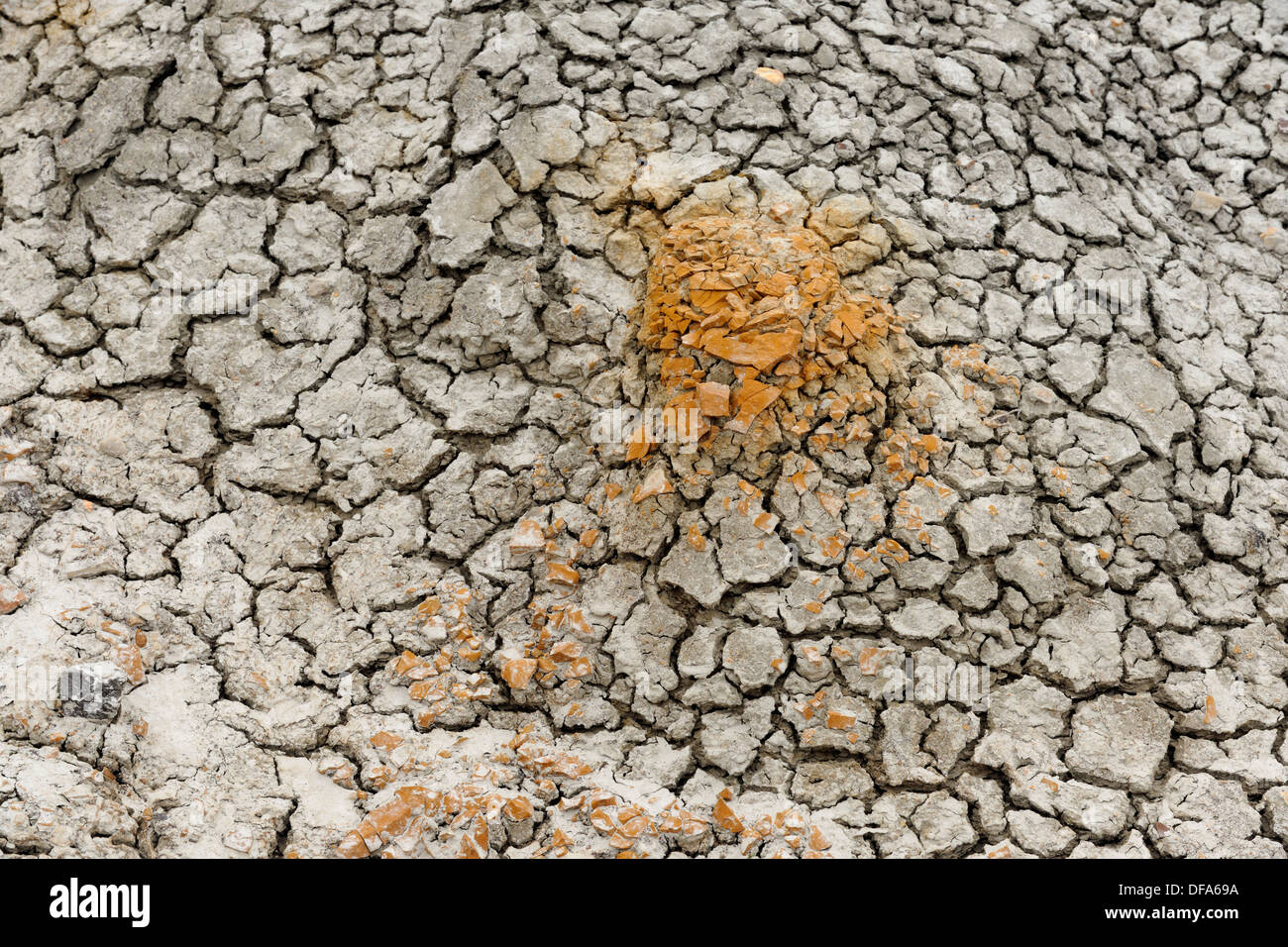 Arid sandy soils hi-res stock photography and images - Alamy