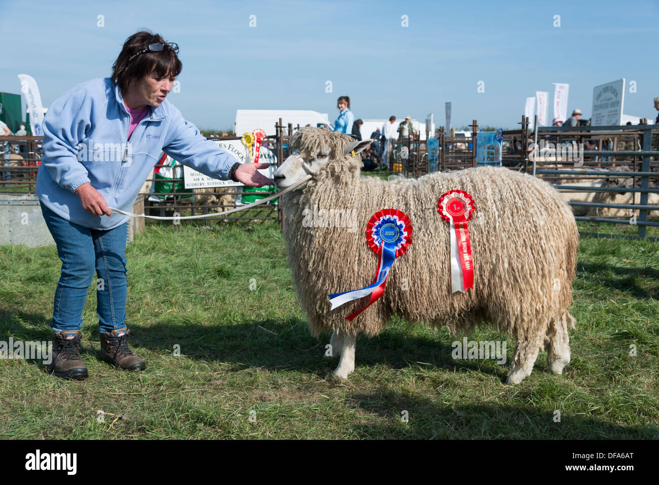 Longwool hi-res stock photography and images - Alamy