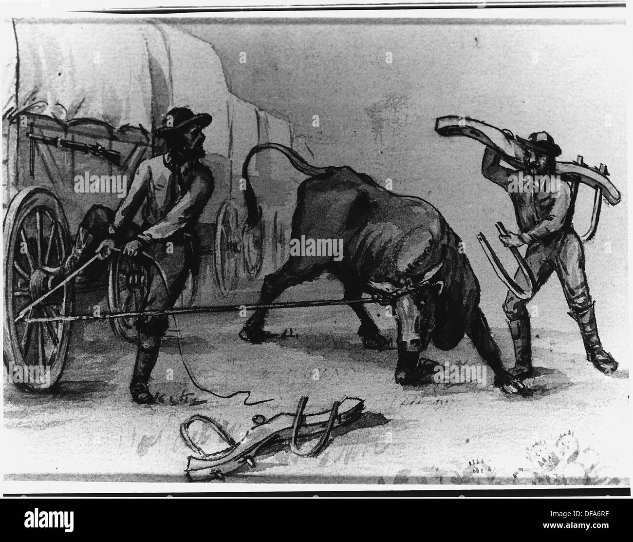 Yoking High Resolution Stock Photography and Images - Alamy