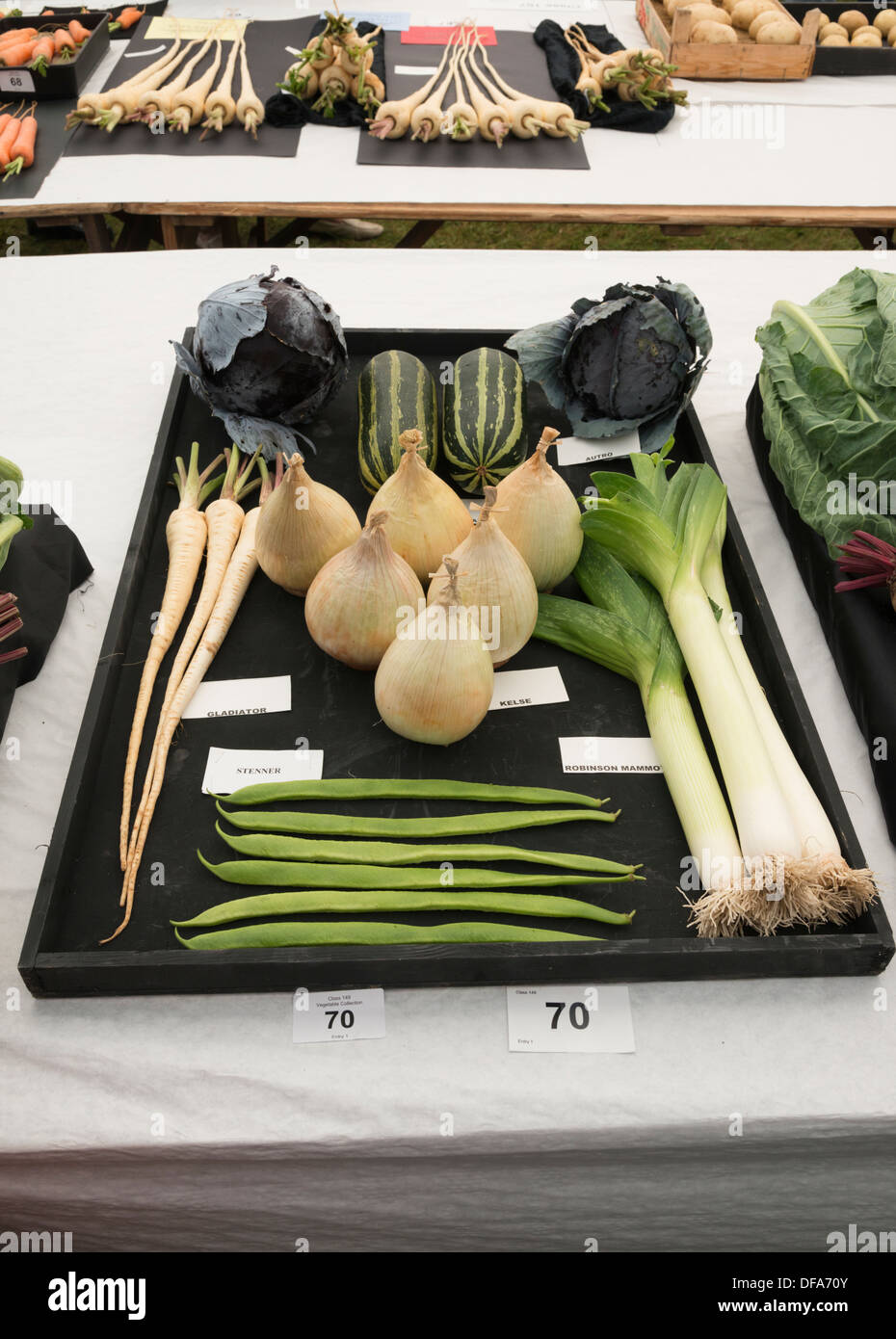 Prize winning vegetables at the Gransden Agricultural show Stock Photo ...