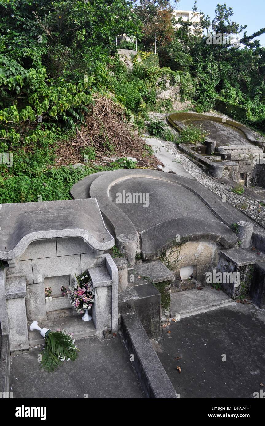 Turtleback tomb hi-res stock photography and images - Alamy