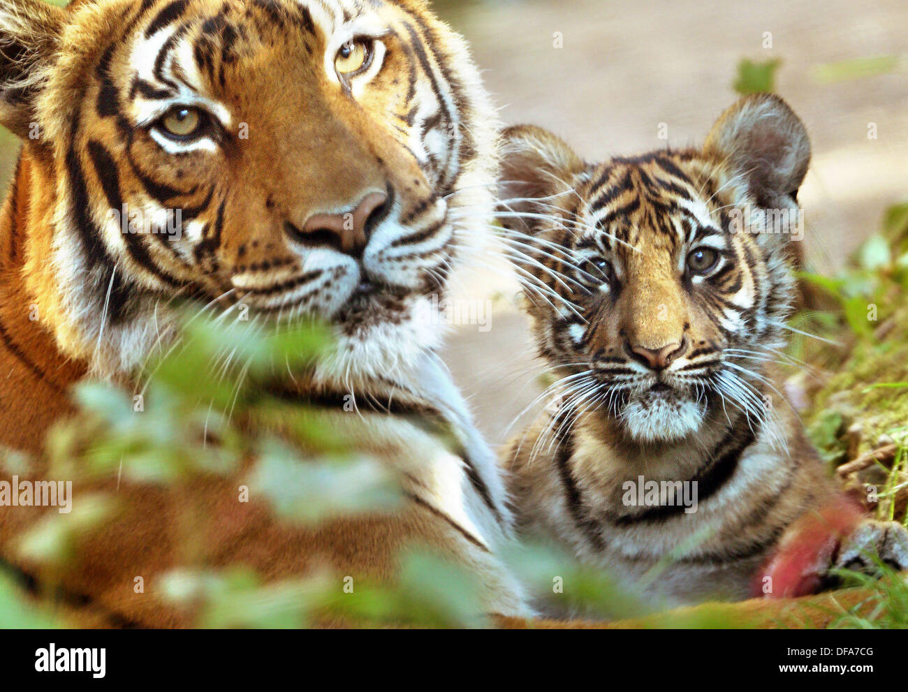 Delivery october 1st hi-res stock photography and images - Alamy