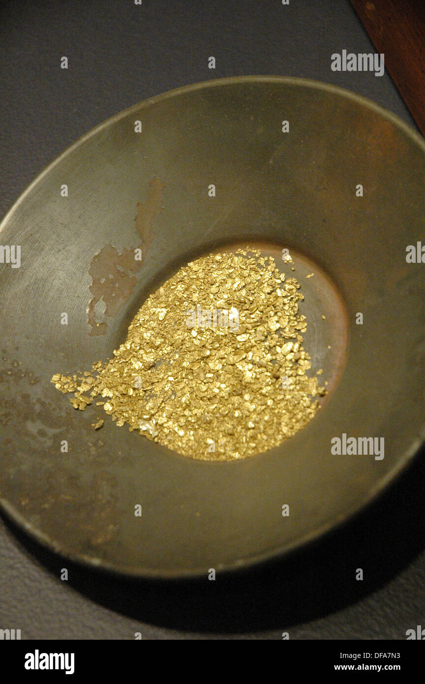 Gold natural history museum hi-res stock photography and images - Alamy