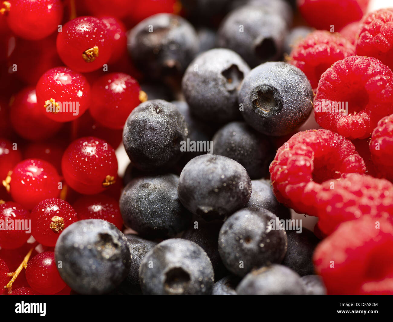 Close up berrys hi-res stock photography and images - Alamy