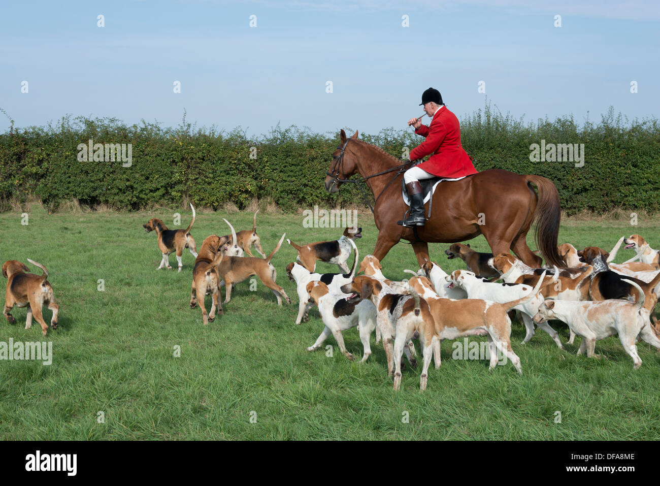 Fox hunting horn hi-res stock photography and images - Alamy