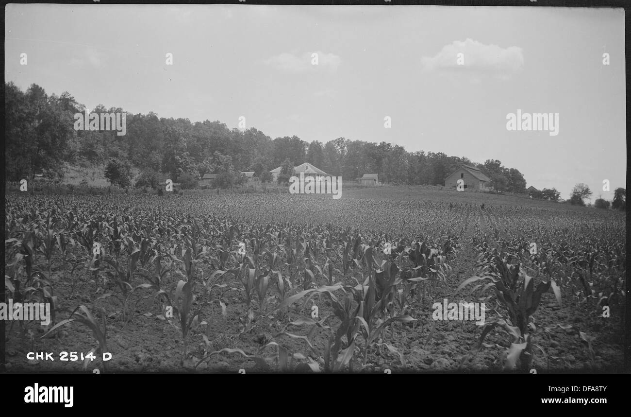 The Roy L. Watkins farmstead represents a historic example of ...