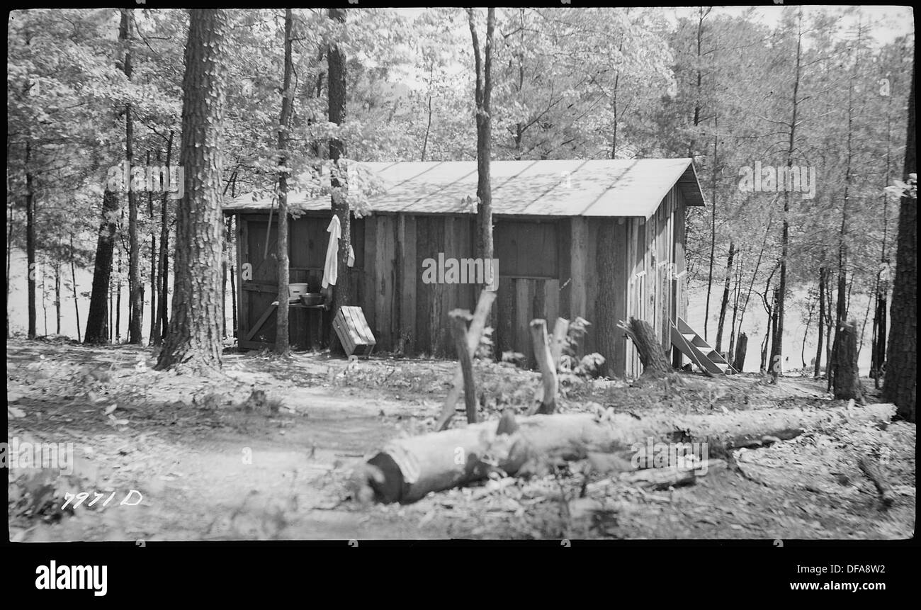 William Watson's squatter cabin is captured in this photograph ...