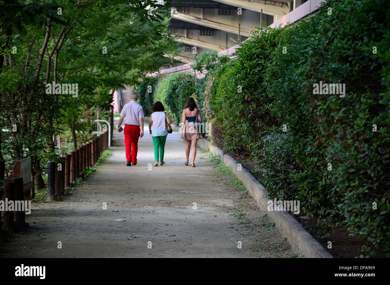 Woman walks down tree hi-res stock photography and images - Alamy