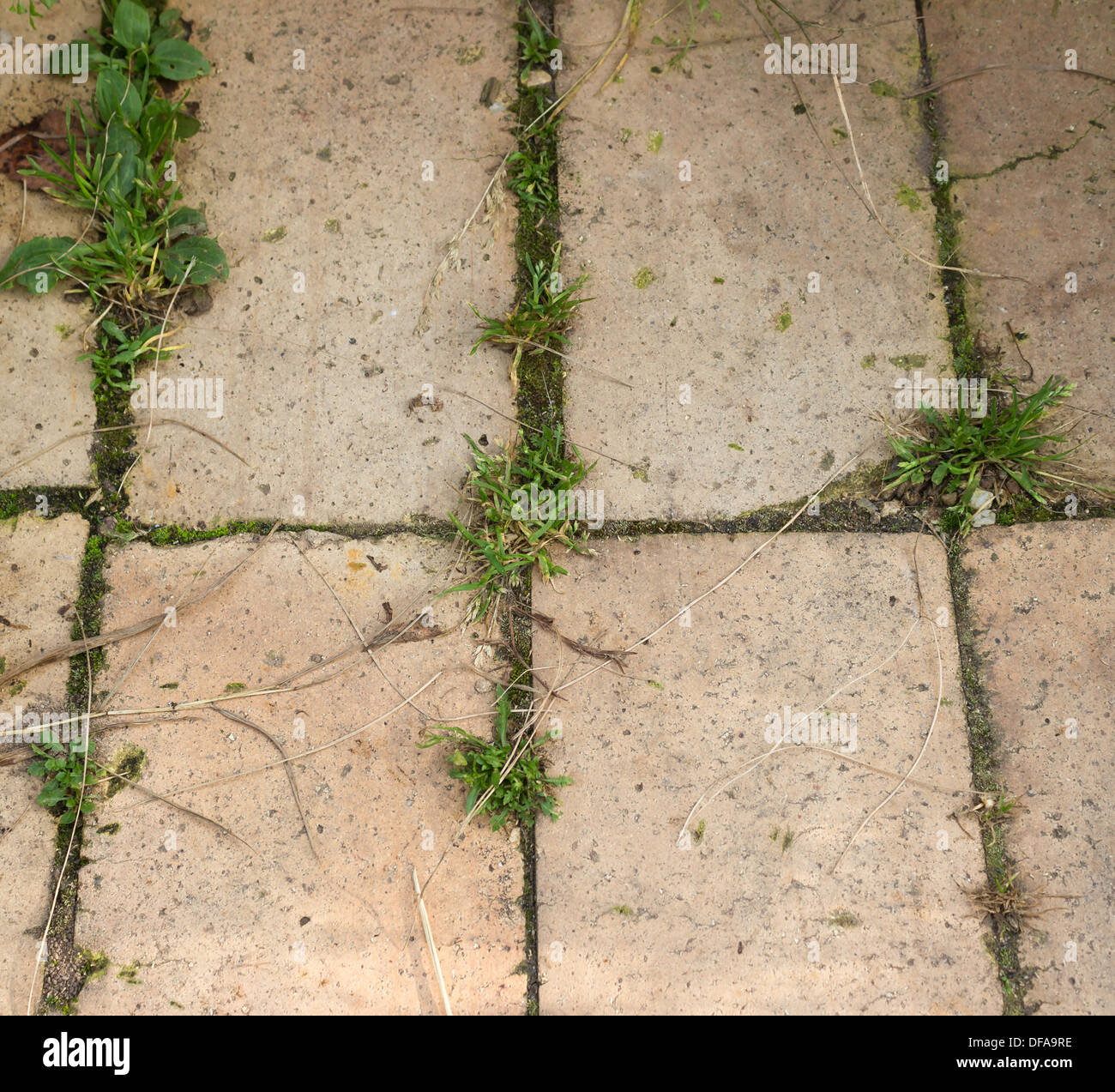 Grass paving block hi-res stock photography and images - Alamy
