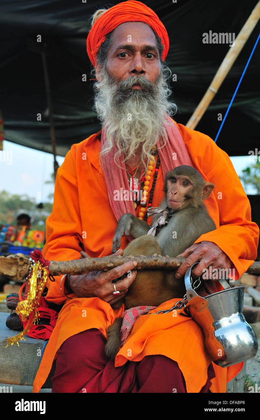 Ganges monkey hi-res stock photography and images - Alamy