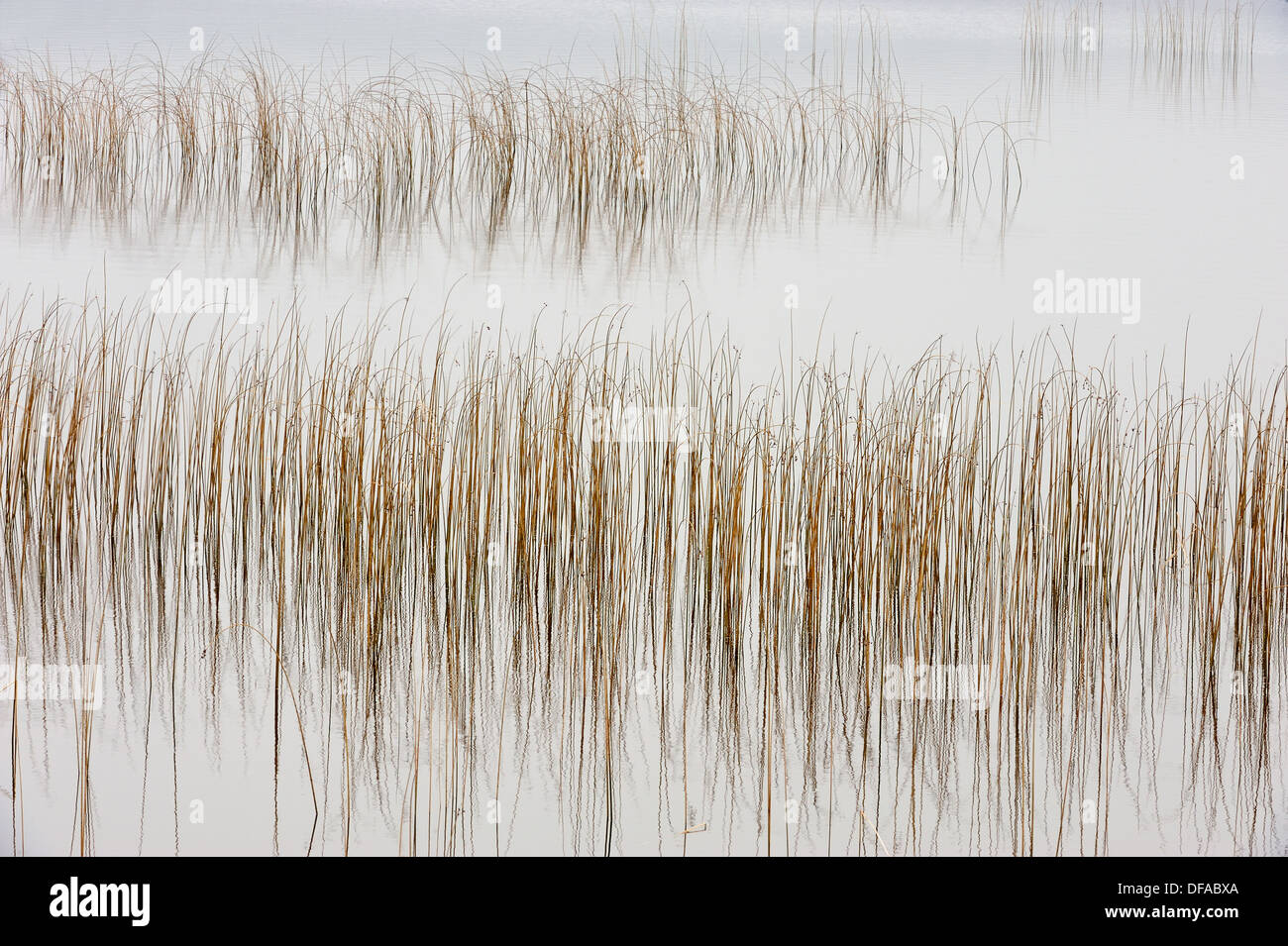 Rouse lake hi-res stock photography and images - Alamy