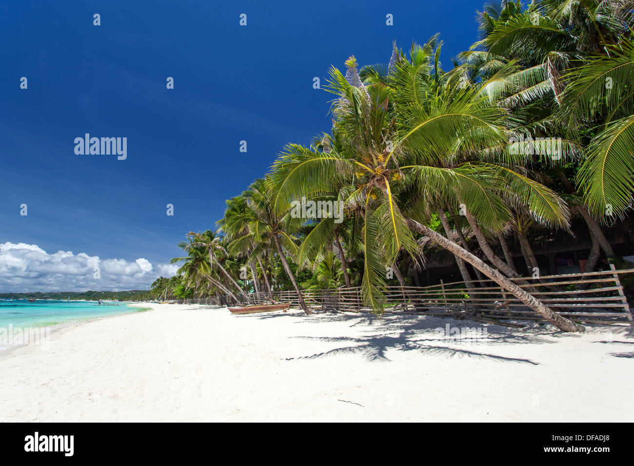 Tropical coastline with beautiful palm and white sand, Philippines ...