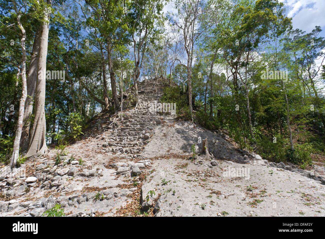 La Danta Pyramid High Resolution Stock Photography and Images - Alamy