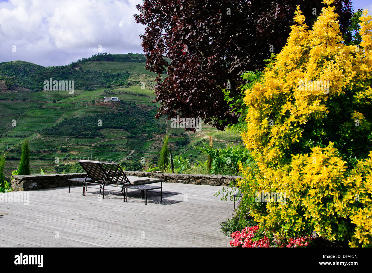 Views of Quinta Nova Vinyards,Estate,River Douro,Vines,Terraces ...