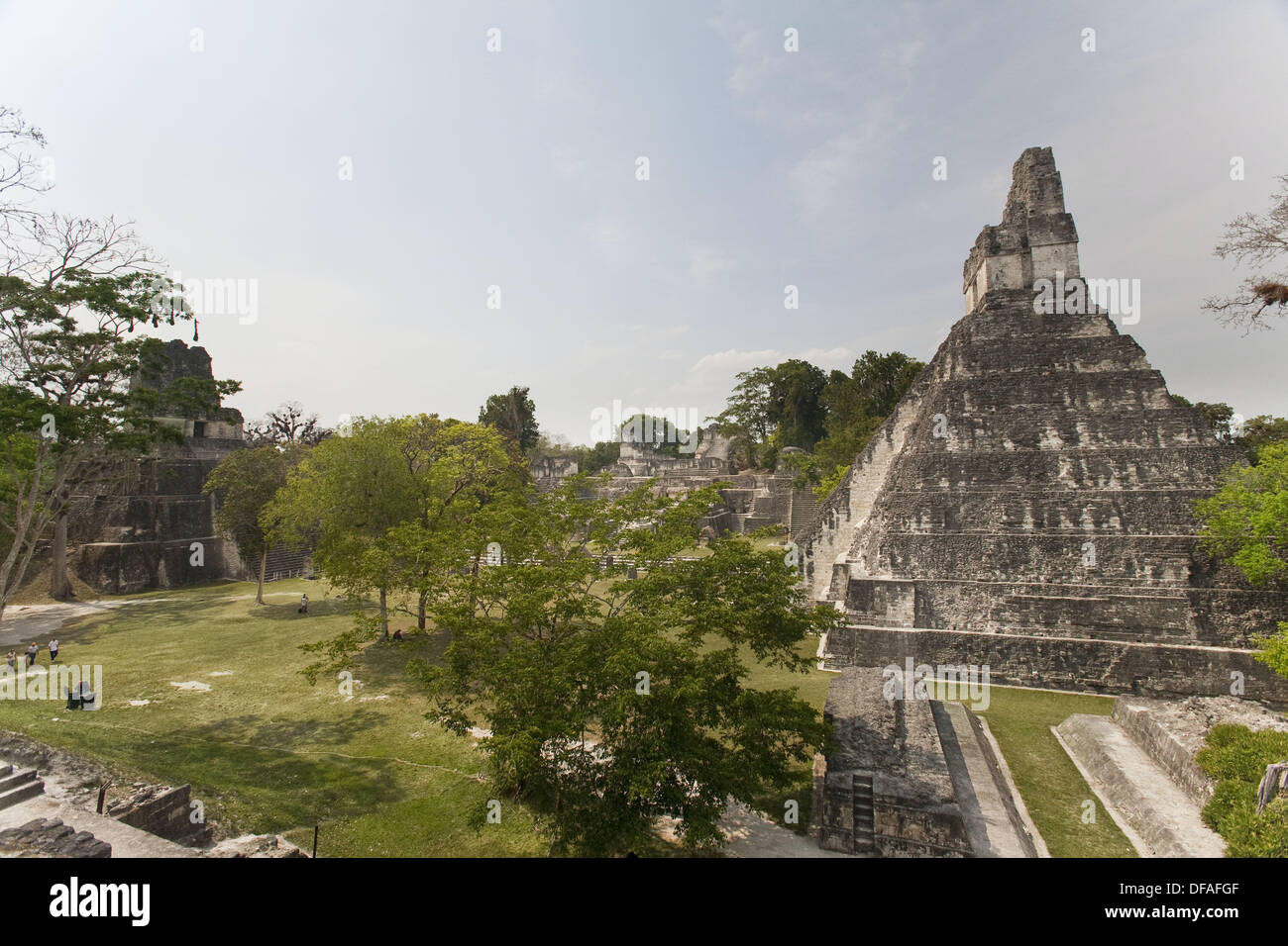 Tikal pyramid inside hi-res stock photography and images - Alamy