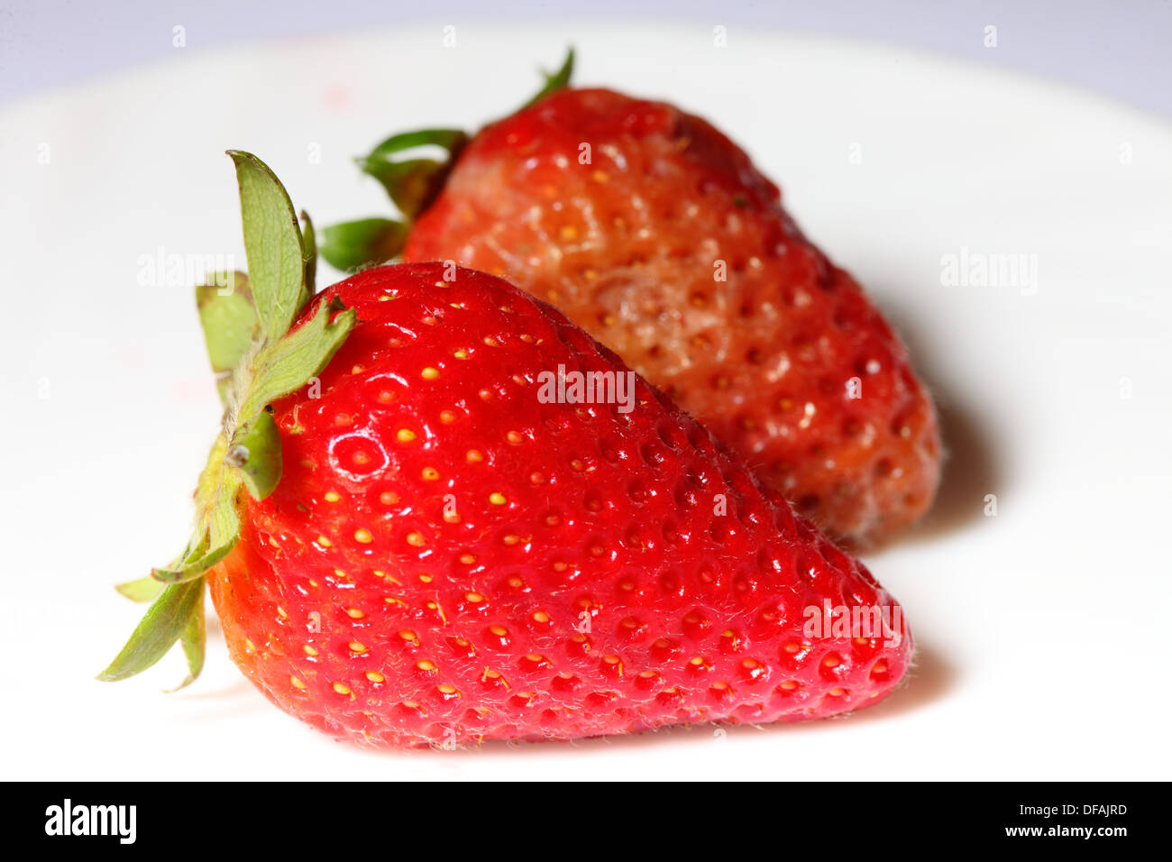 healthy and rotten spoiled bad red strawberries on white. Food waste ...
