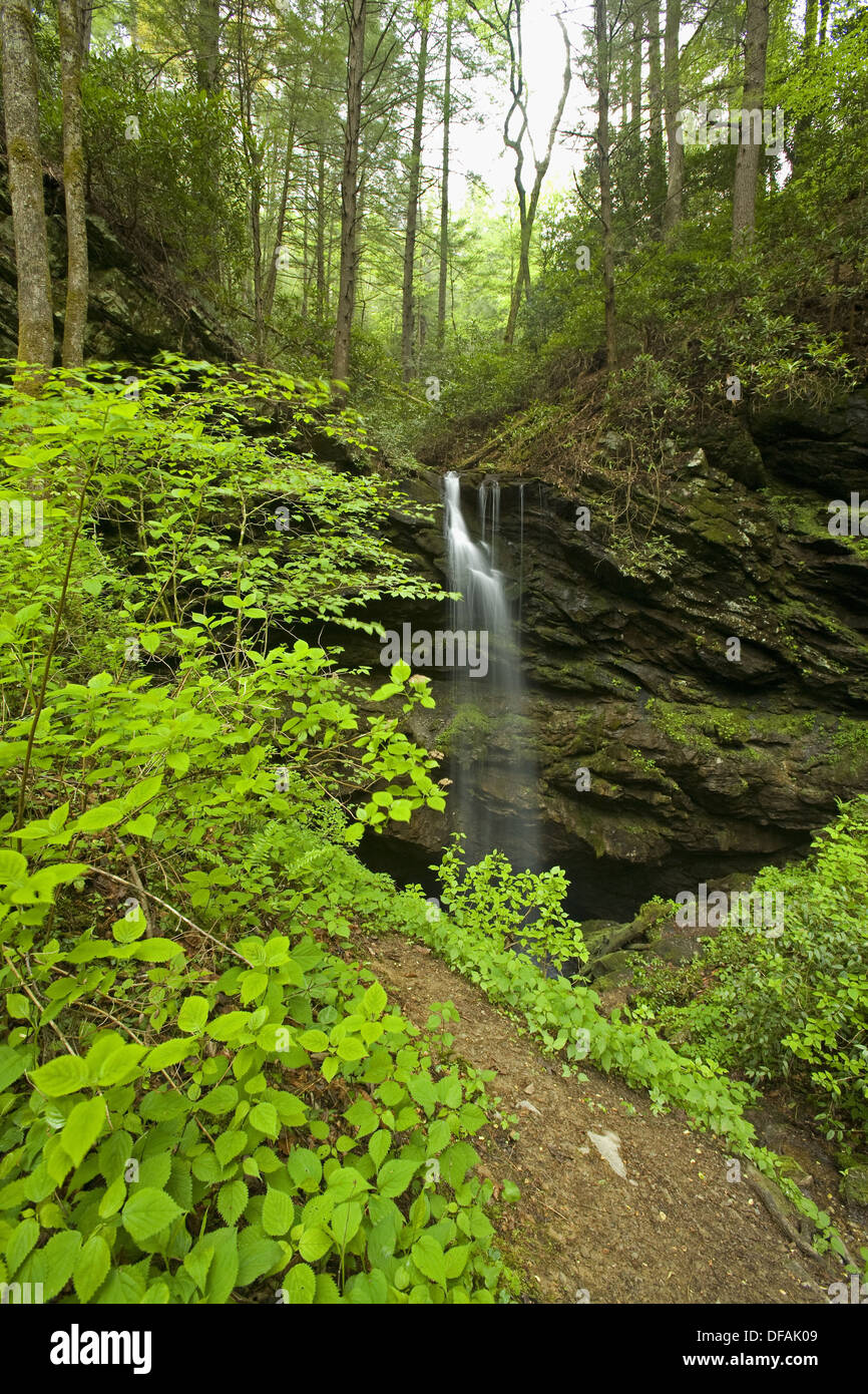 Great smoky mountains white oak sink hi-res stock photography and ...
