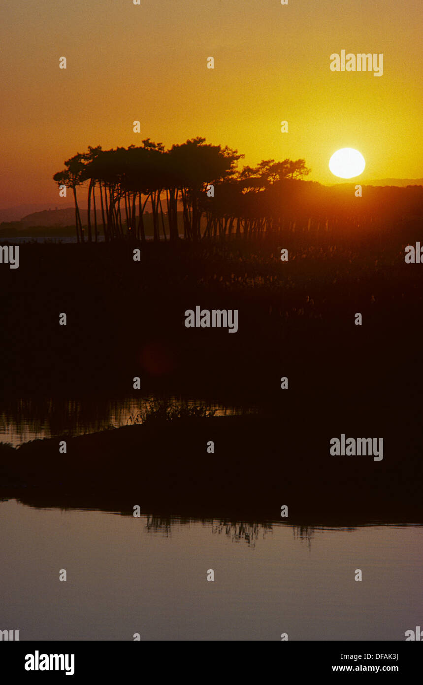 La tordera river hi-res stock photography and images - Alamy