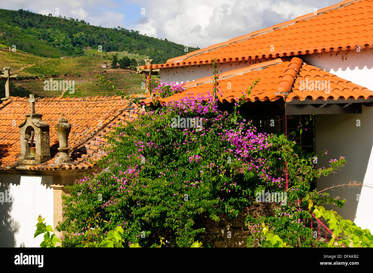 Views of Quinta Nova Vinyards,Estate,River Douro,Vines,Terraces ...