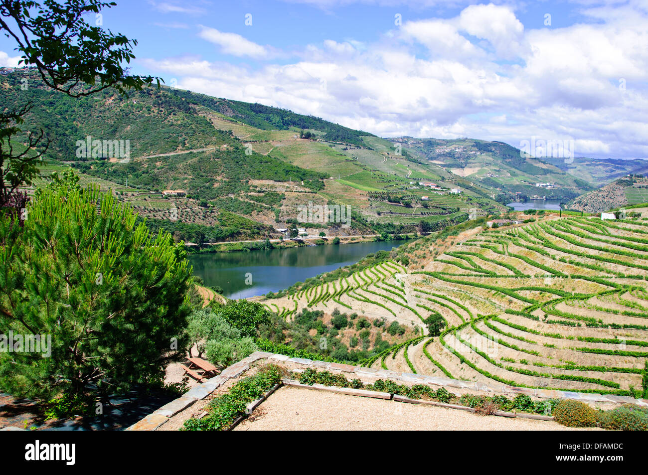 Views of Quinta Nova Vinyards,Estate,River Douro,Vines,Terraces ...