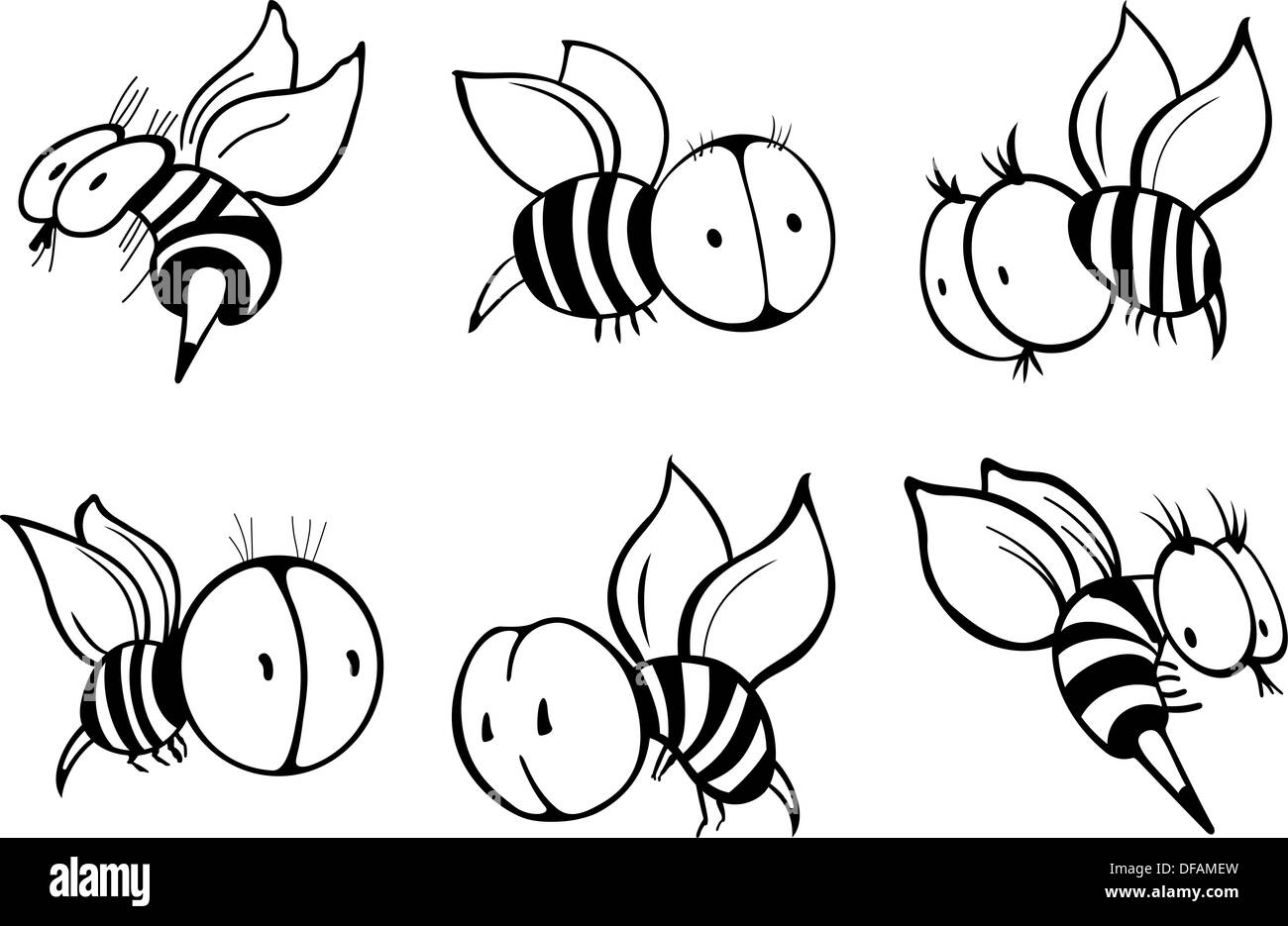 Bee front Cut Out Stock Images & Pictures - Alamy