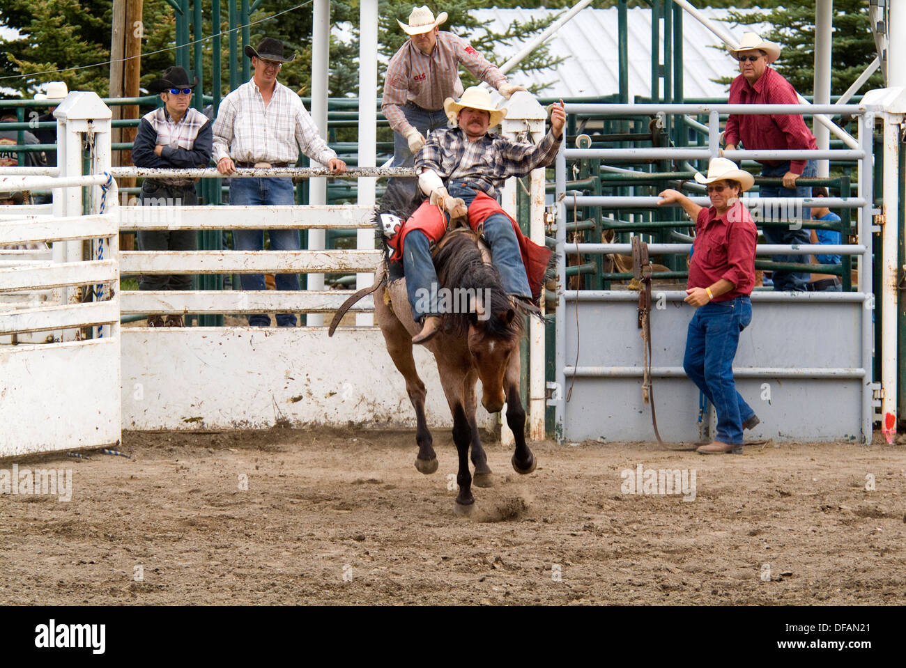 Bucking rodeo bronco hi-res stock photography and images - Alamy