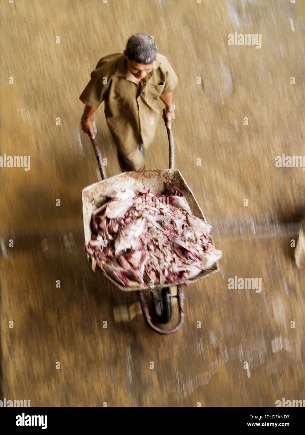 Developing colombo hi-res stock photography and images - Alamy