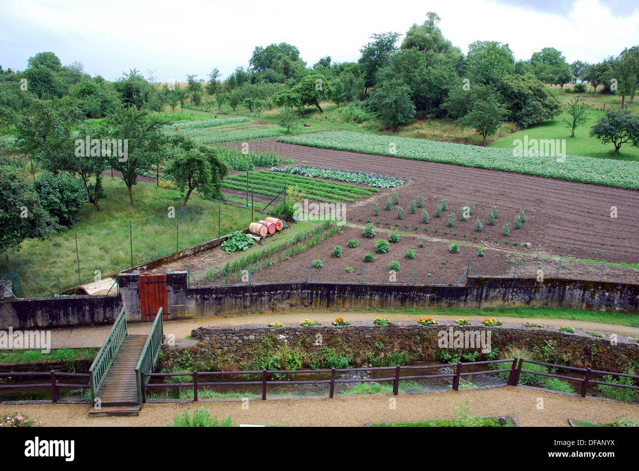 Modern horticulture hi-res stock photography and images - Alamy