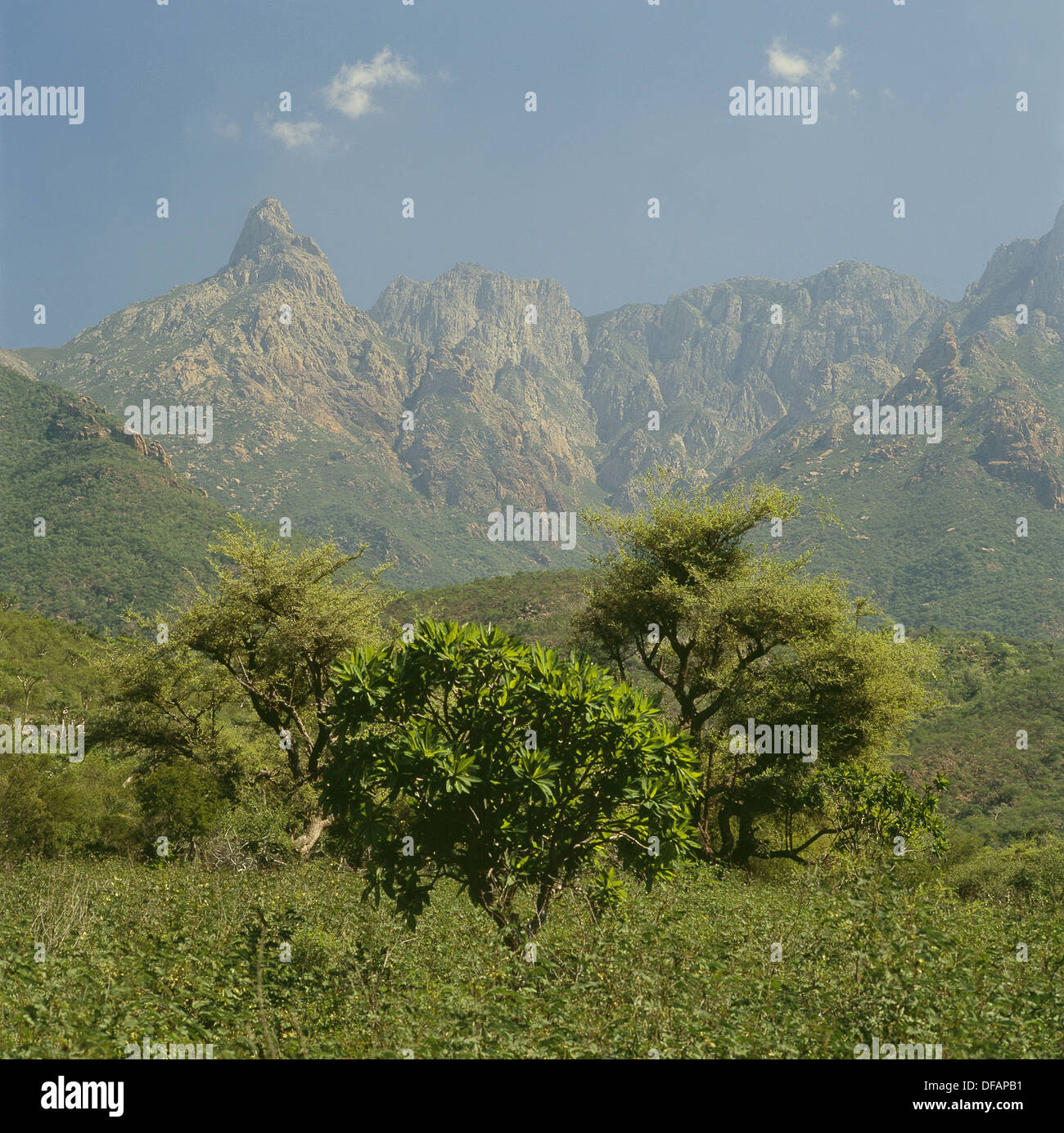 Socotra archipelago hi-res stock photography and images - Alamy