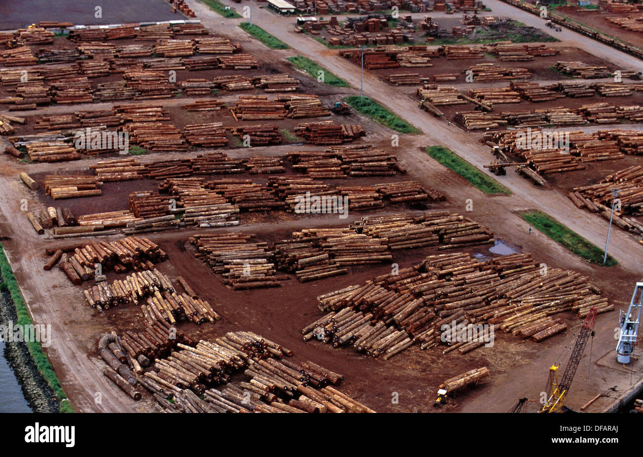 Deforestation africa logs hi-res stock photography and images - Alamy