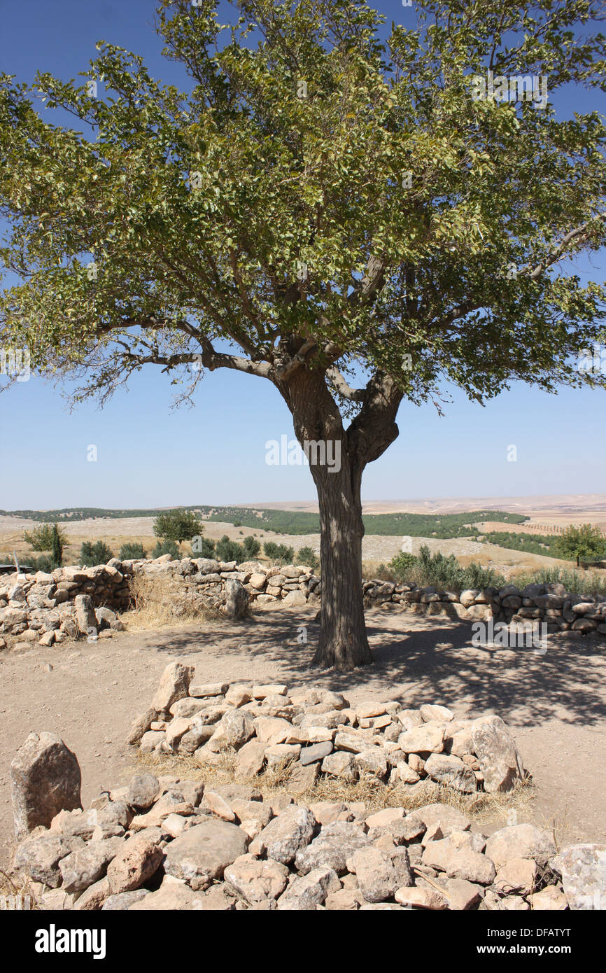 Hilltop graves under a wish tree at Gobleki Tepe in Turkey Stock Photo ...