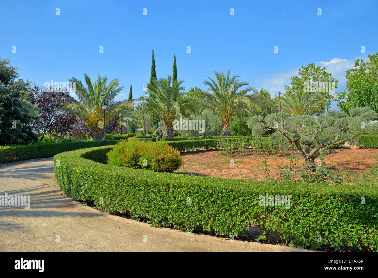 Valencia botanical garden hi-res stock photography and images - Alamy