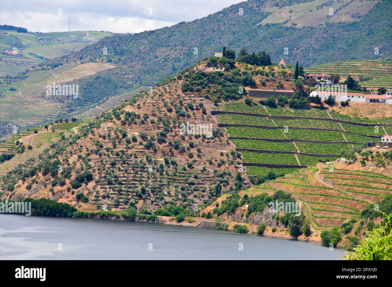 Views of Quinta Nova Vinyards,Estate,River Douro,Vines,Terraces ...