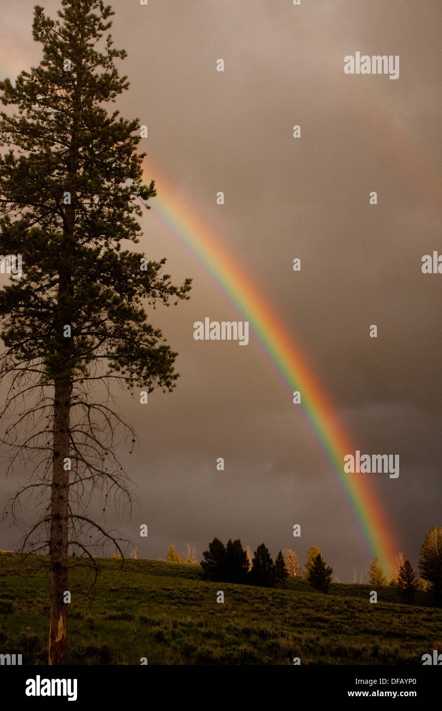 Rainbow Yellowstone National Park USA Stock Photo - Alamy